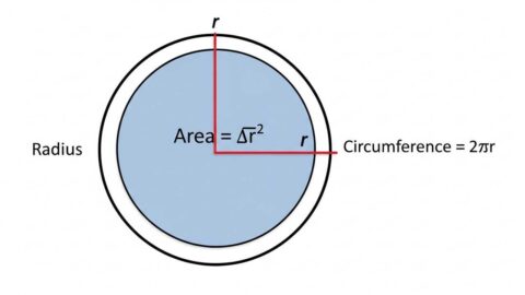 Calculate Circle Area and Circumference